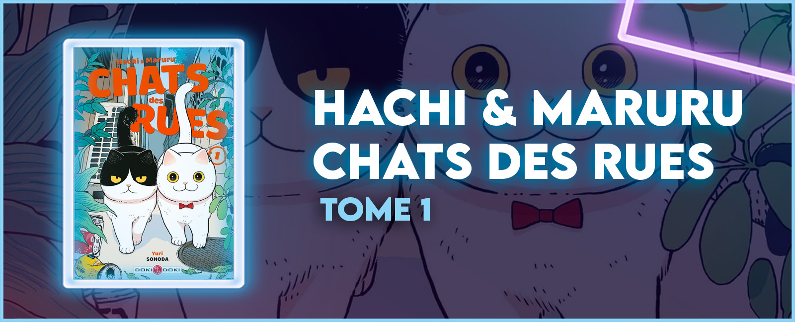 Avis manga : Hachi & Maruru : Chats des rues - Tome 1 - Manga